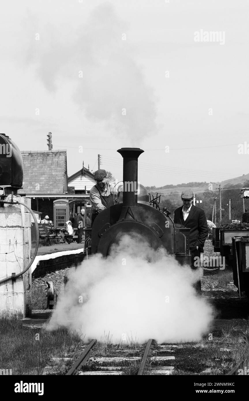 "Winifred" at Llanuwchllyn Station Stock Photo - Alamy