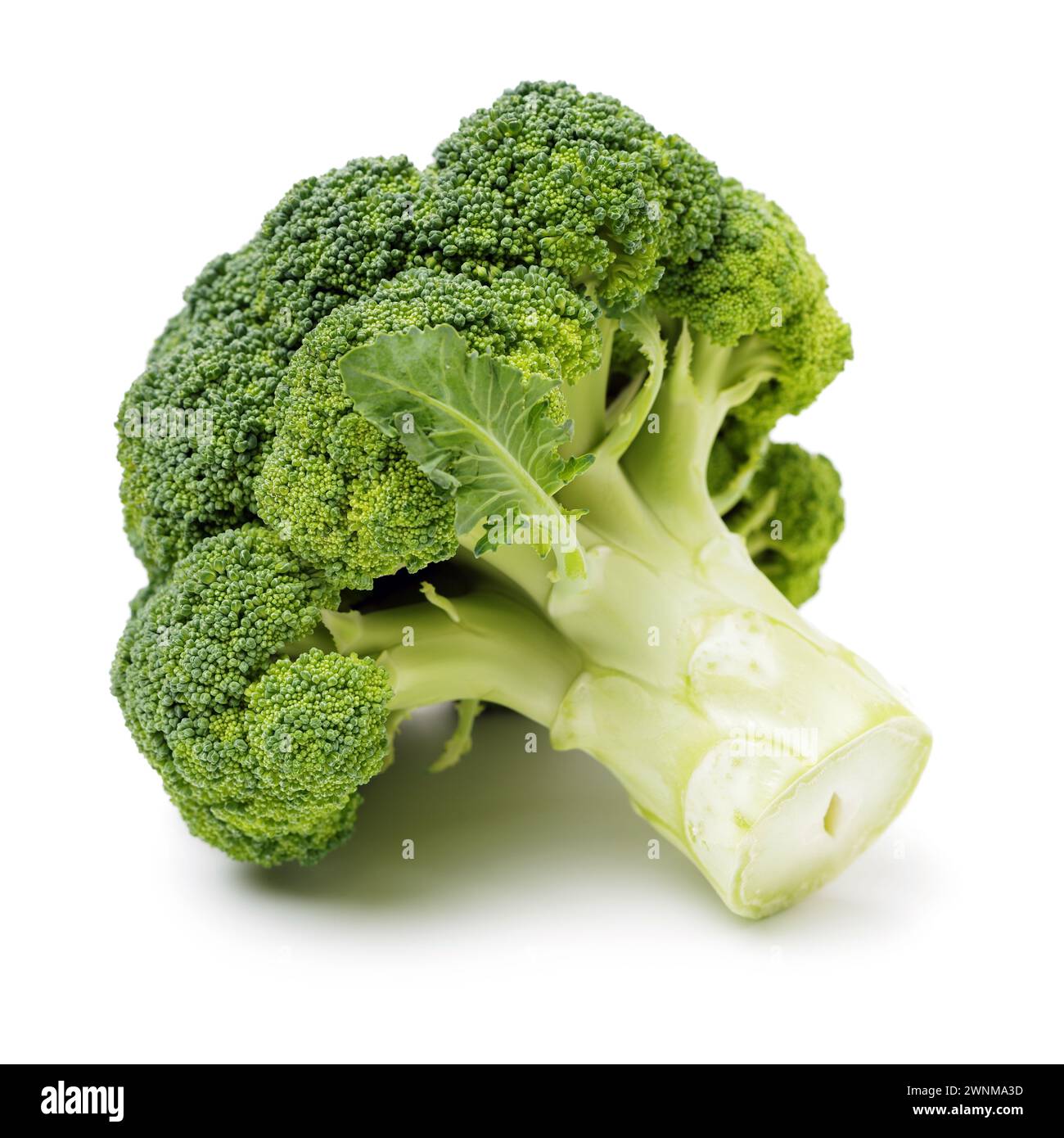broccoli isolated on white background Stock Photo - Alamy