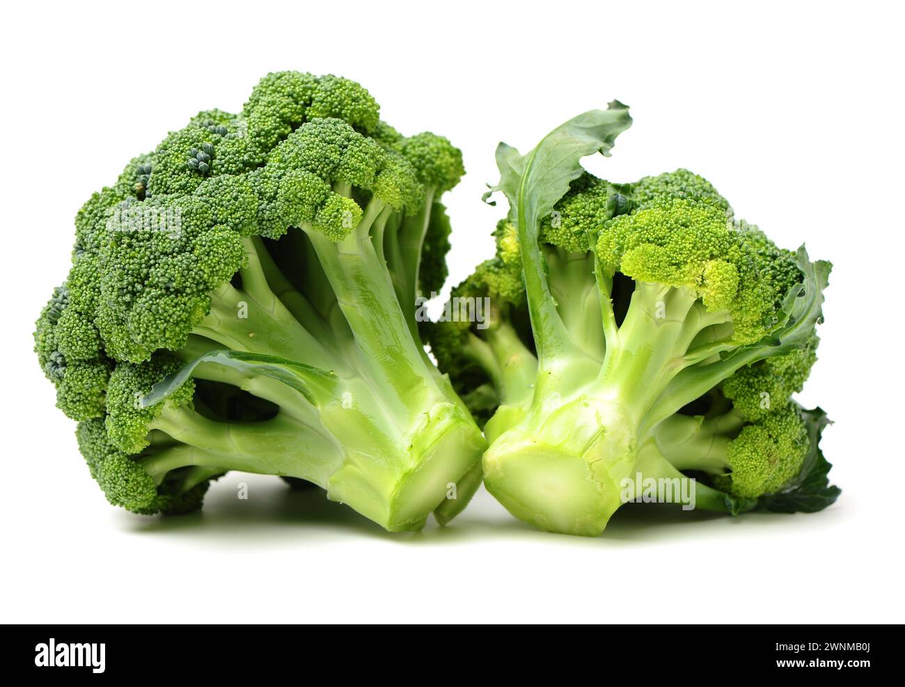 broccoli isolated on white background Stock Photo - Alamy