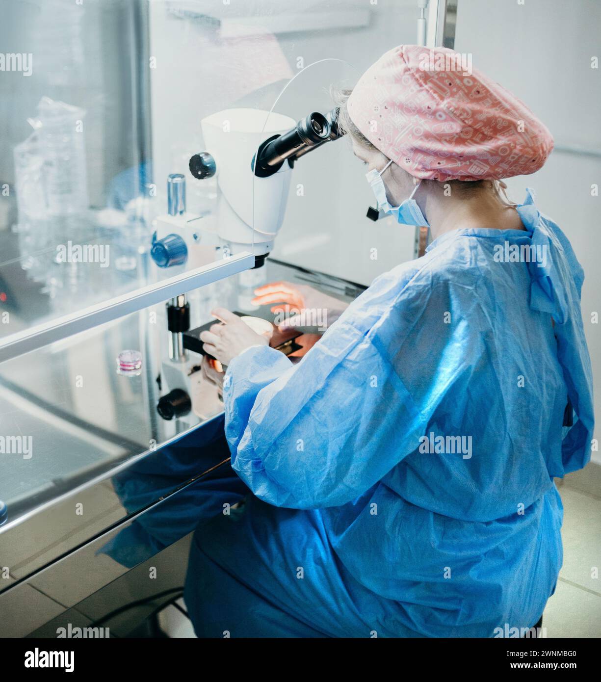 Embryology hi-res stock photography and images - Alamy