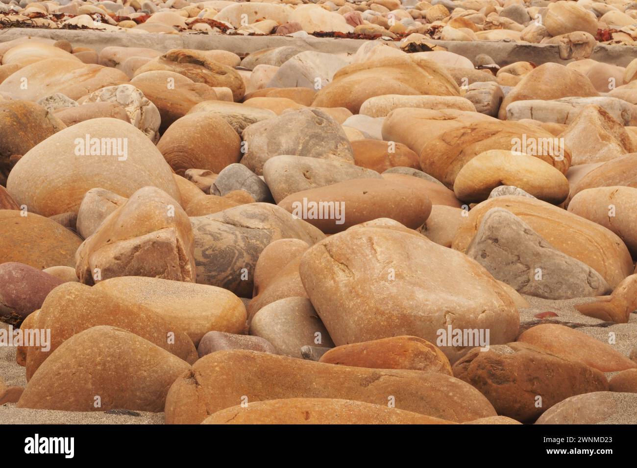 Looking across a rocky beach covered in large rocks, boulders and ...