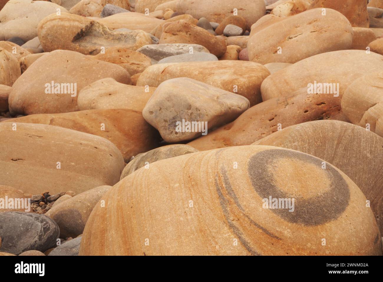 Looking across a rocky beach covered in large rocks, boulders and ...