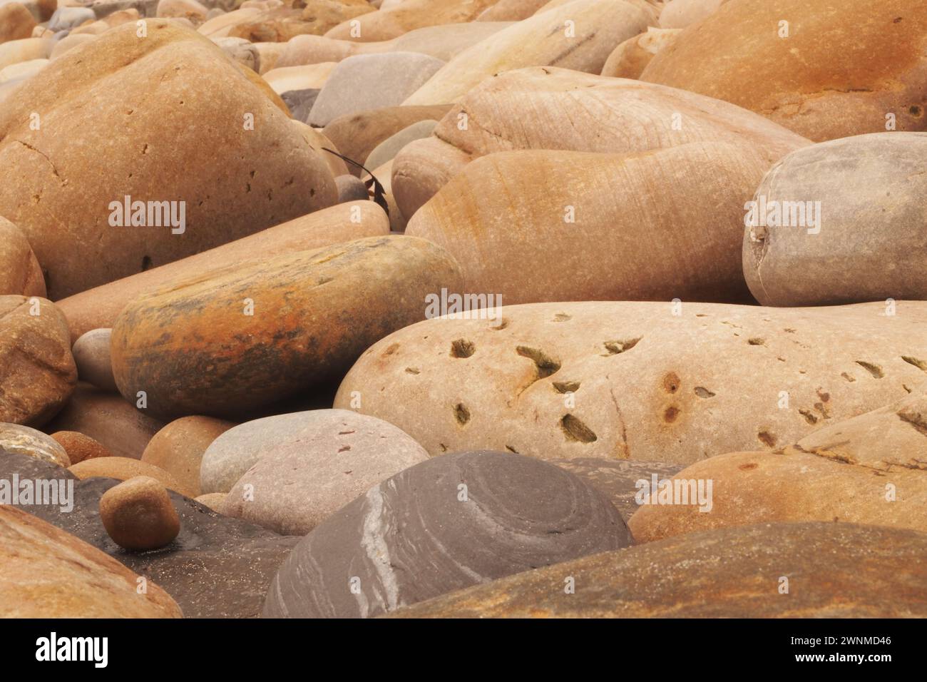 Looking across a rocky beach covered in large rocks, boulders and ...