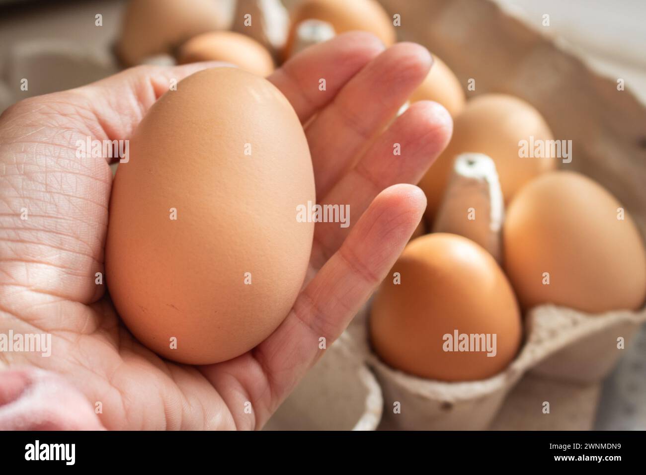 Egg carton farm hi-res stock photography and images - Alamy