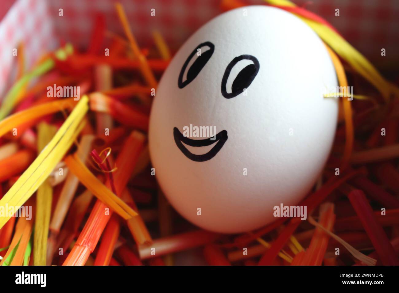 Funny egg with smile and eyes in bright box. Happy Easter egg. Natural ...