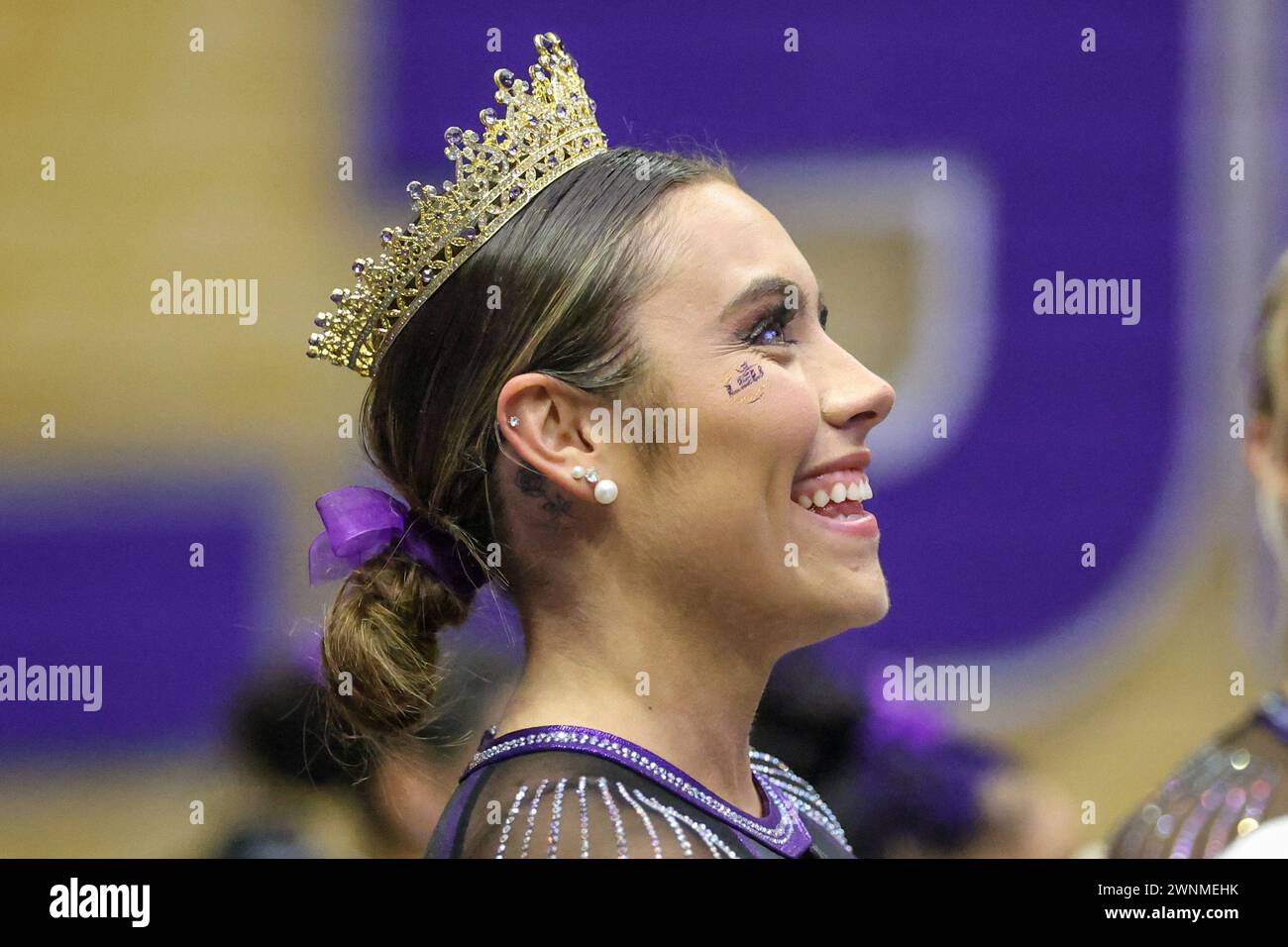 Lsu uneven bars hi-res stock photography and images - Alamy