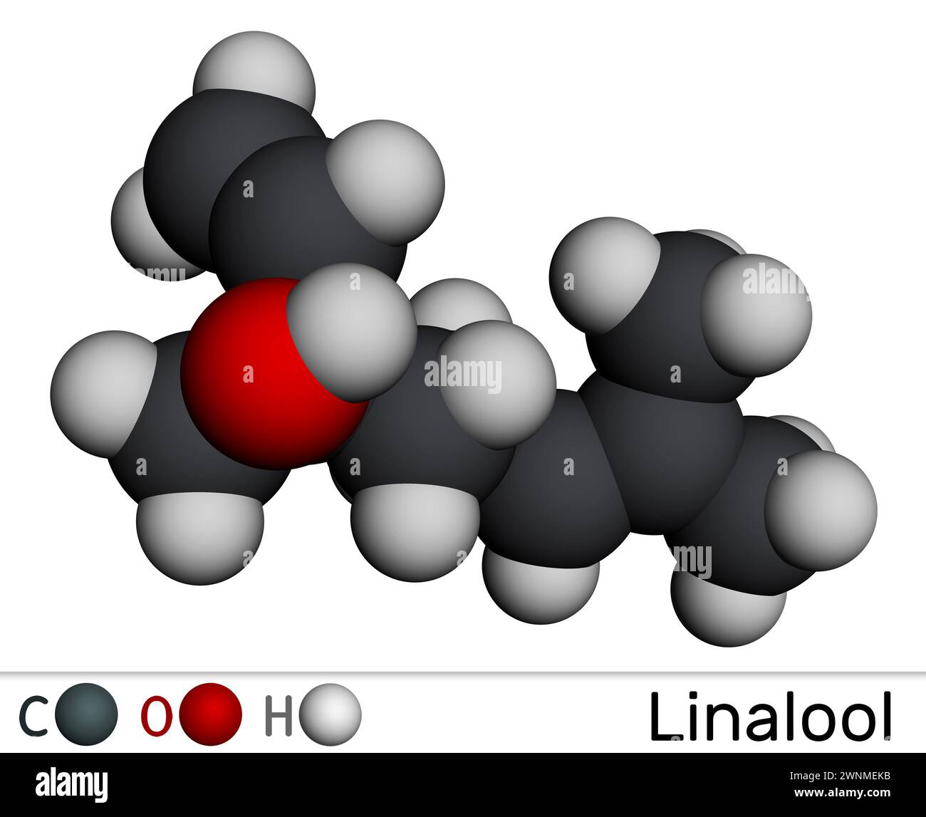 Linalool molecule. It is terpene alcohol. Molecular model. 3D rendering ...
