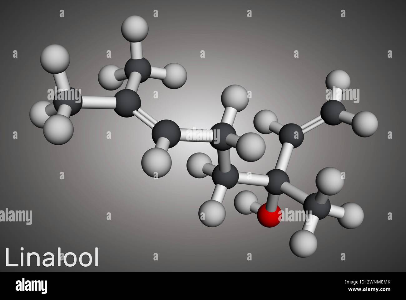 Linalool molecule. It is terpene alcohol. Molecular model. 3D rendering ...