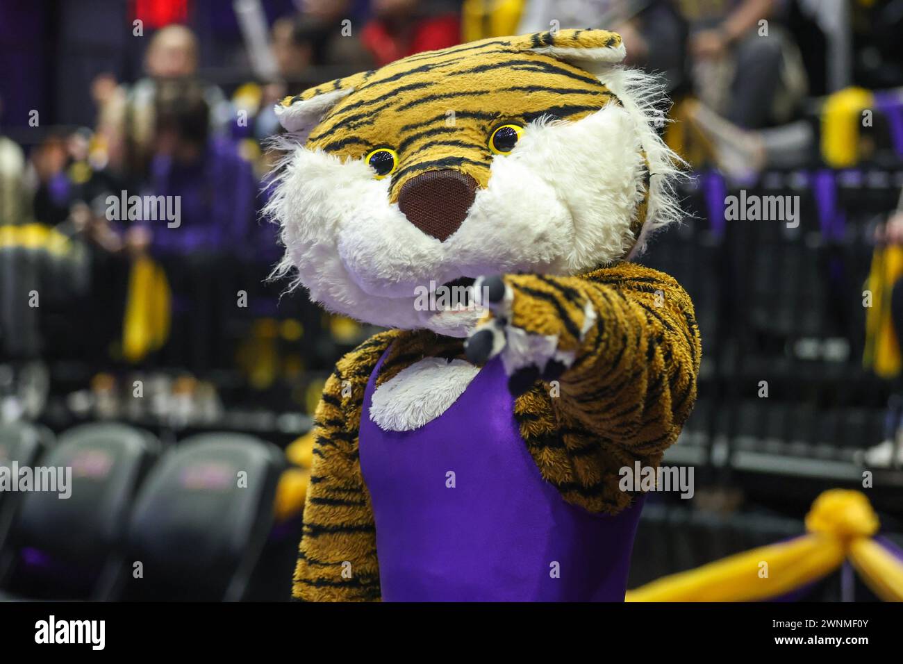 Baton Rouge, LA, USA. 01st Mar, 2024. LSU mascot Mike the Tiger points ...