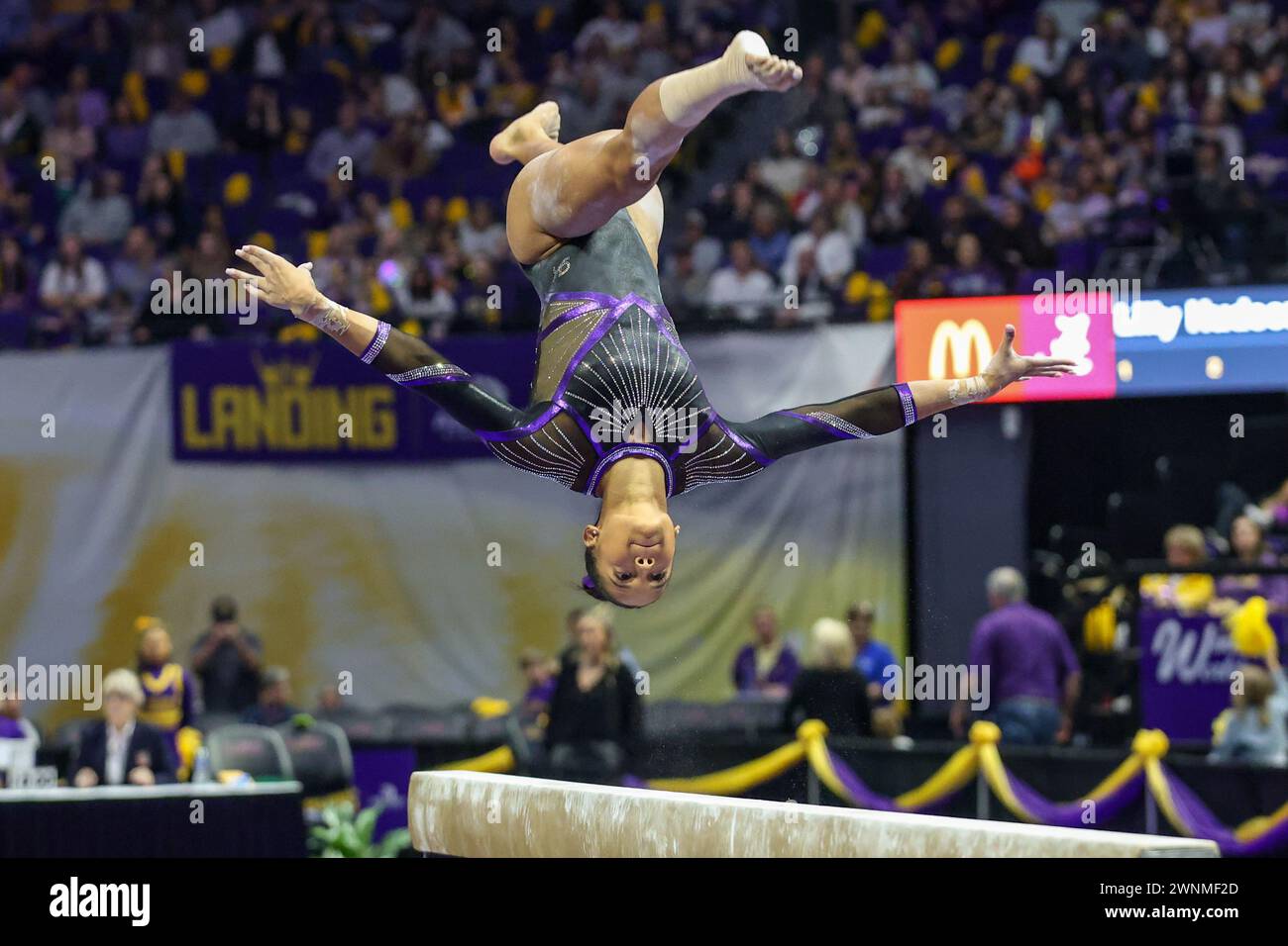 Gym 91 of 134 jpg hi-res stock photography and images - Alamy