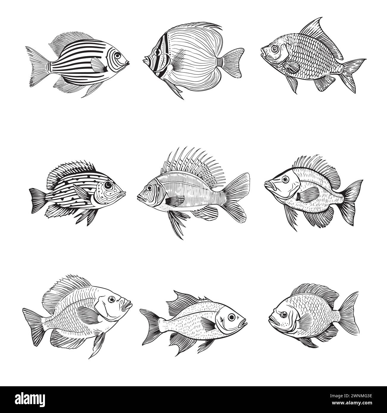 Hand Drawn Outline Sketch Fishes. Ink Drawing Sea Creature Mascot Stock ...