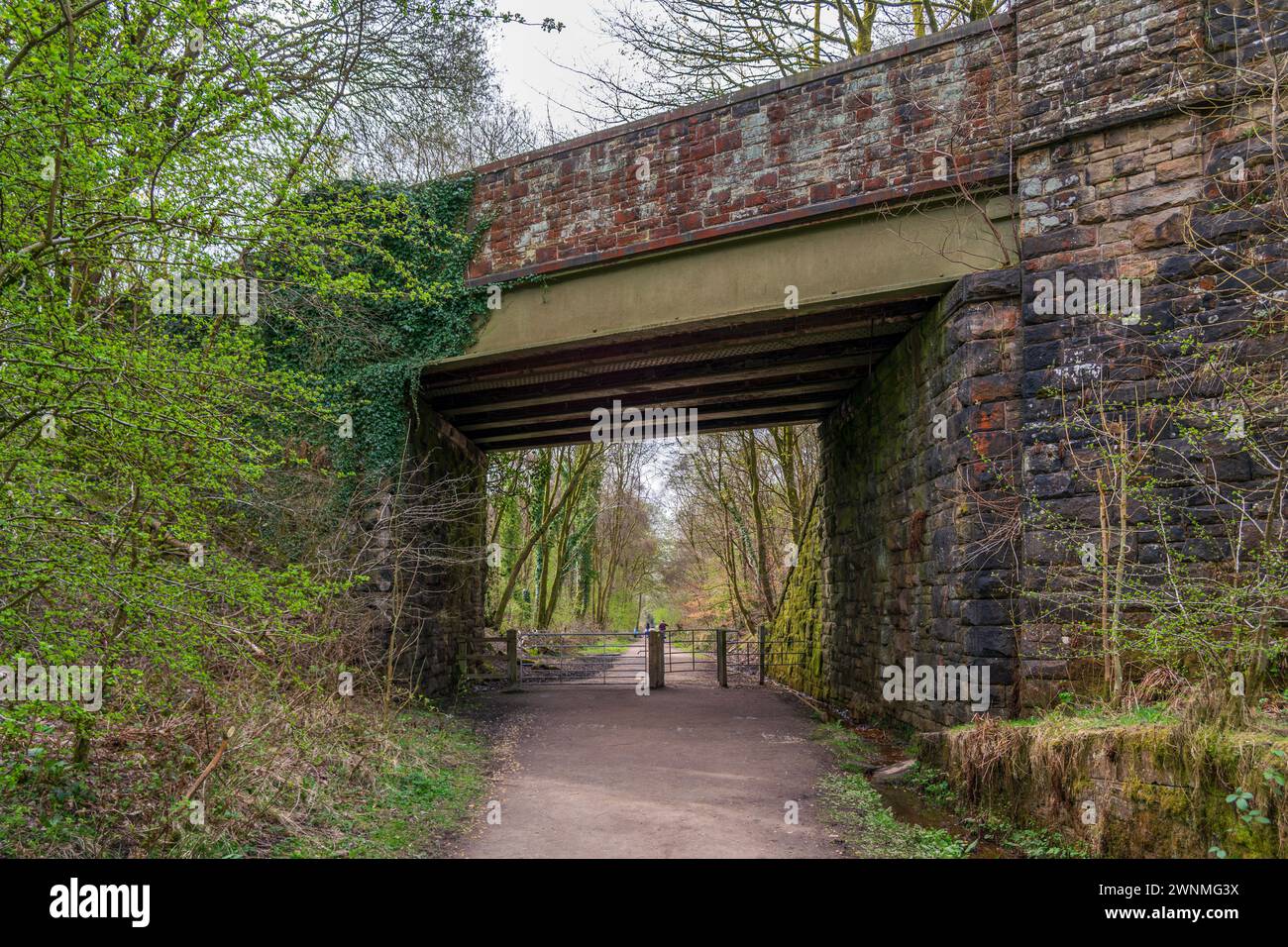 Healey Dell Nature Reserve Stock Photo - Alamy