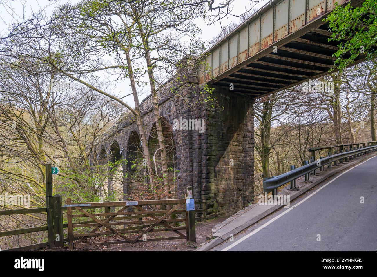 Healey Dell Nature Reserve Stock Photo - Alamy