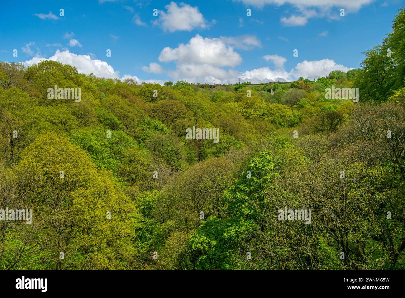 Cotton mills oldham hi-res stock photography and images - Alamy