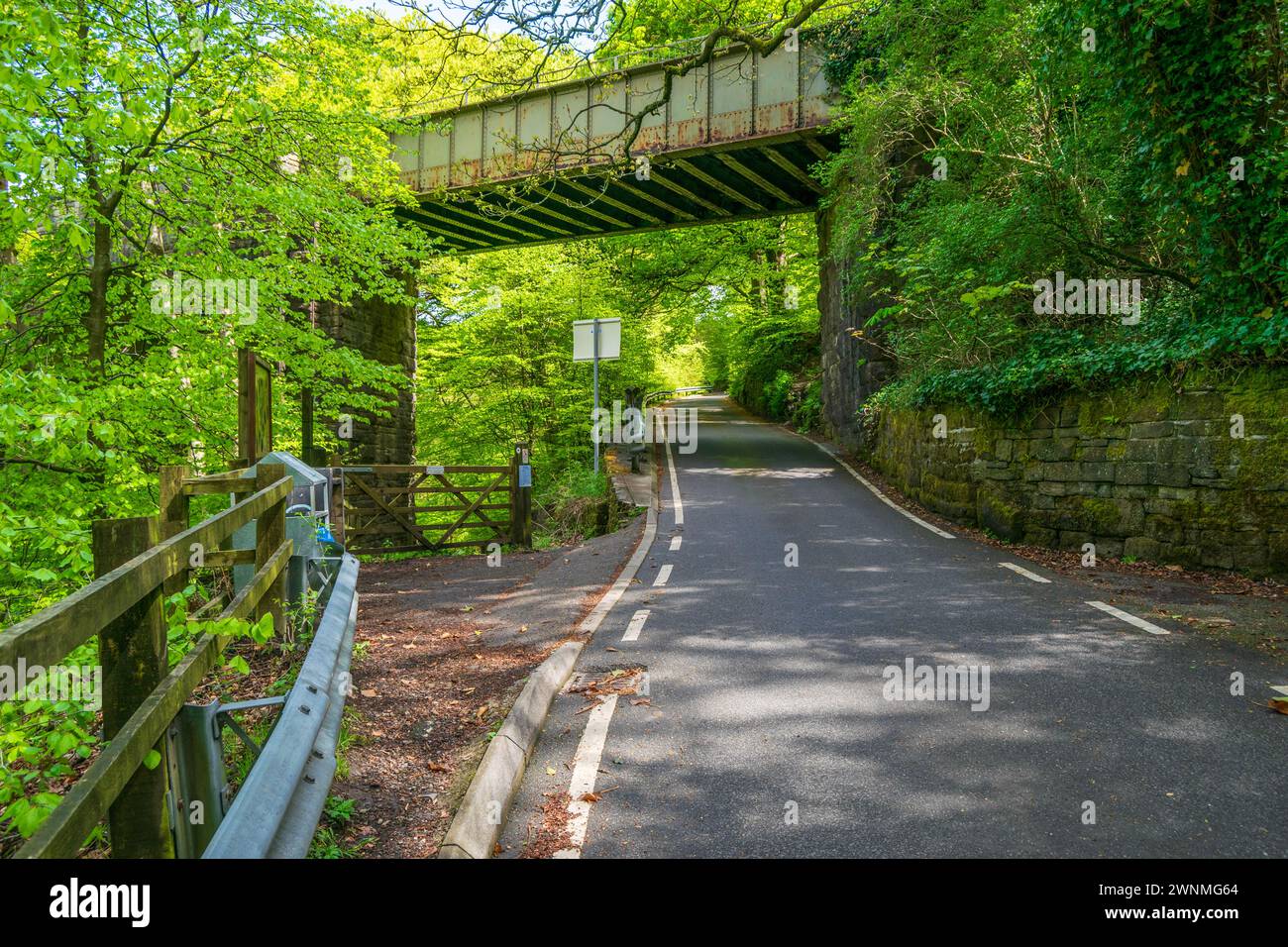 Healey Dell Nature Reserve Stock Photo - Alamy