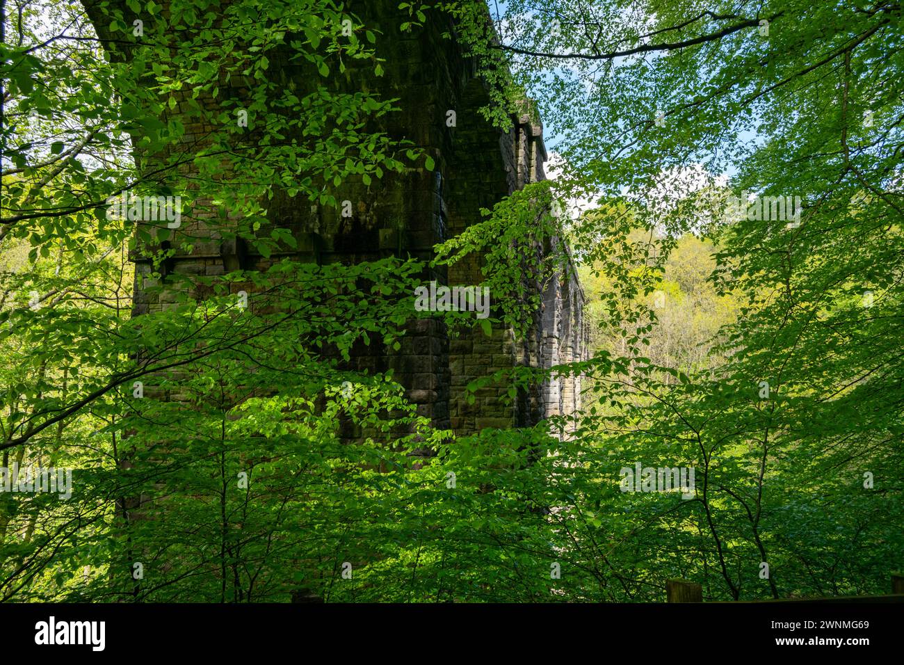 Healey Dell Nature Reserve Stock Photo - Alamy