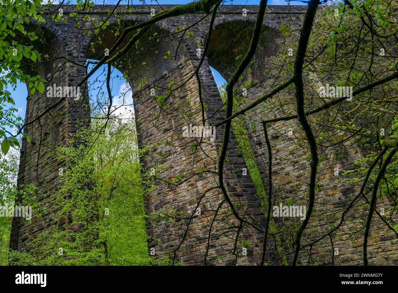 Healey Dell Nature Reserve Stock Photo - Alamy