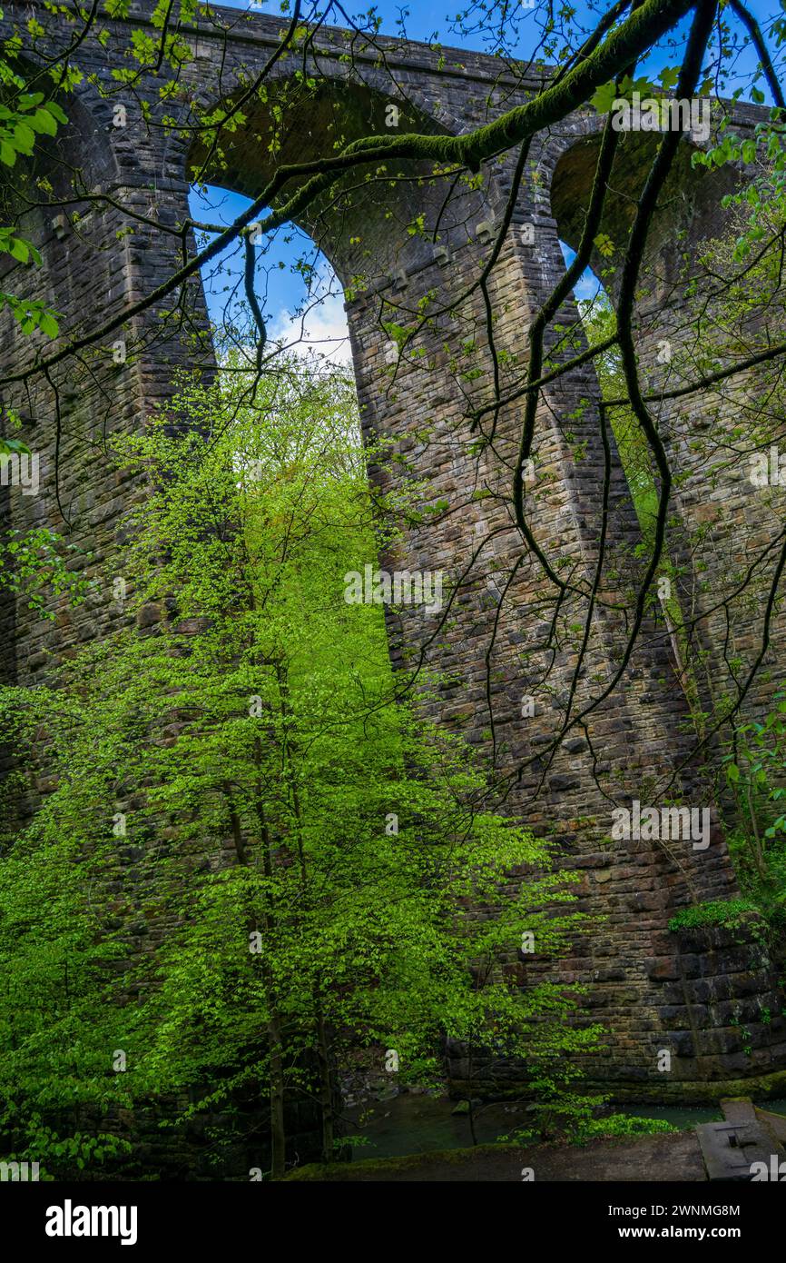 Healey Dell Nature Reserve Stock Photo - Alamy