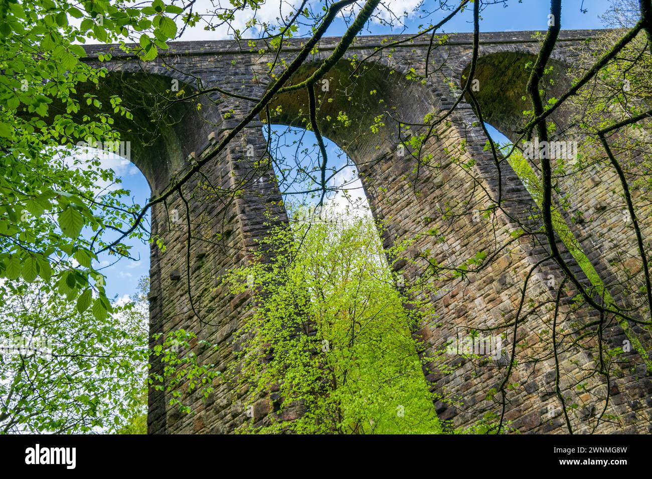 Healey Dell Nature Reserve Stock Photo - Alamy