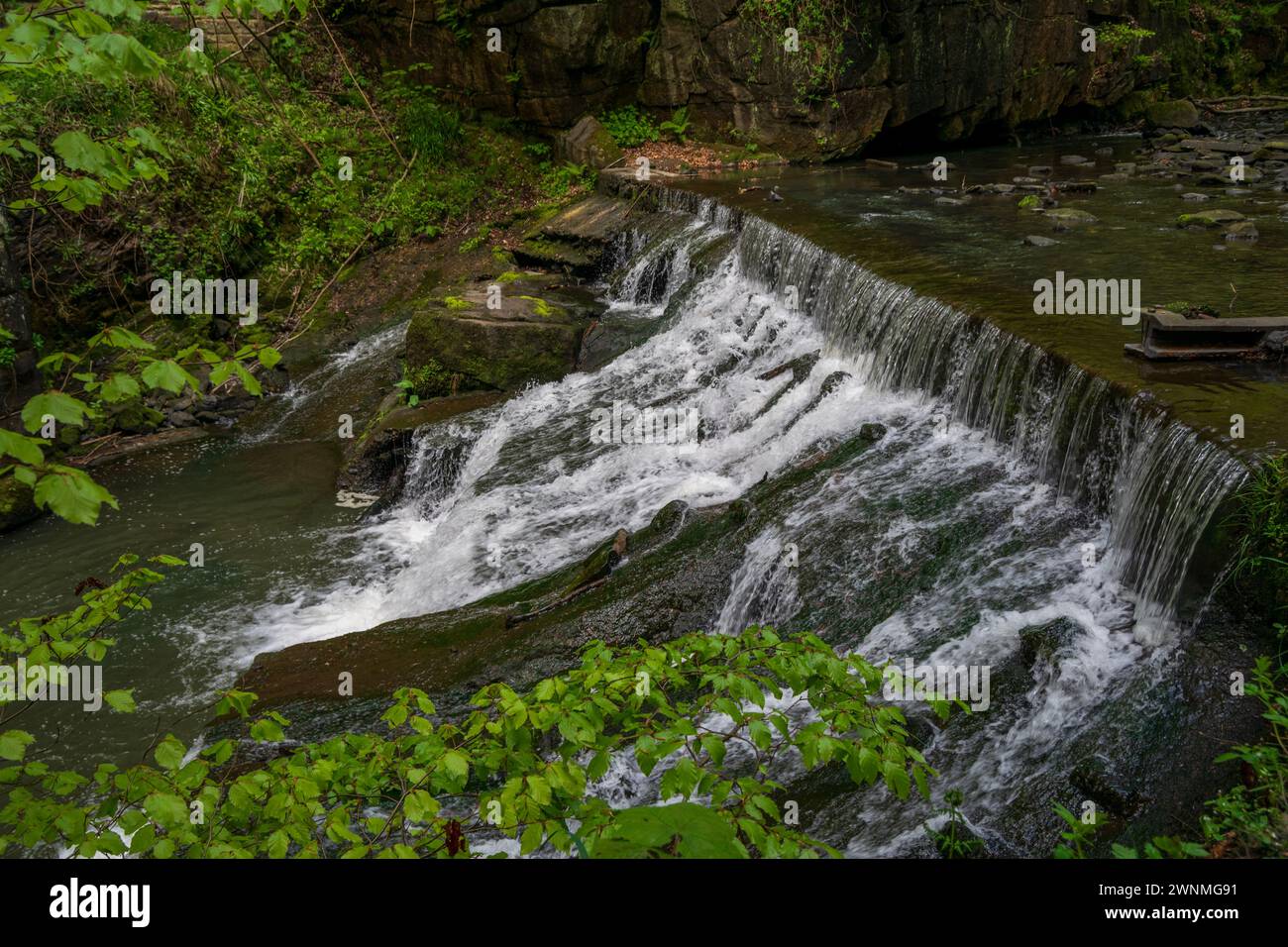 Healey Dell Nature Reserve Stock Photo - Alamy