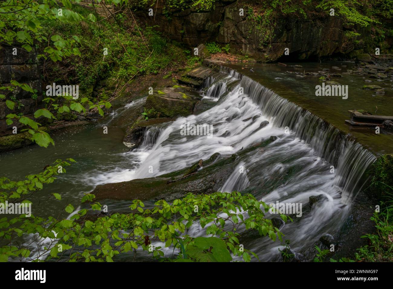Healey Dell Nature Reserve Stock Photo - Alamy
