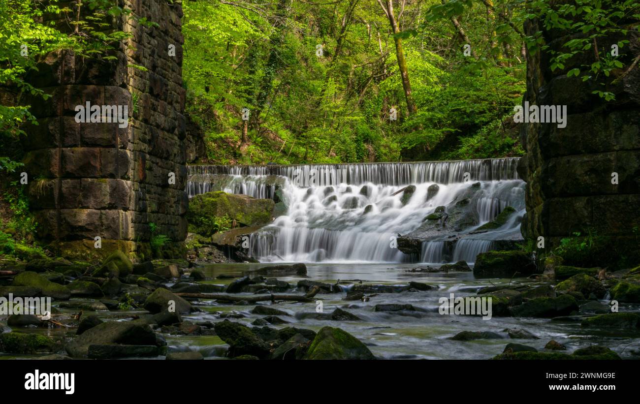 Healey Dell Nature Reserve Stock Photo - Alamy