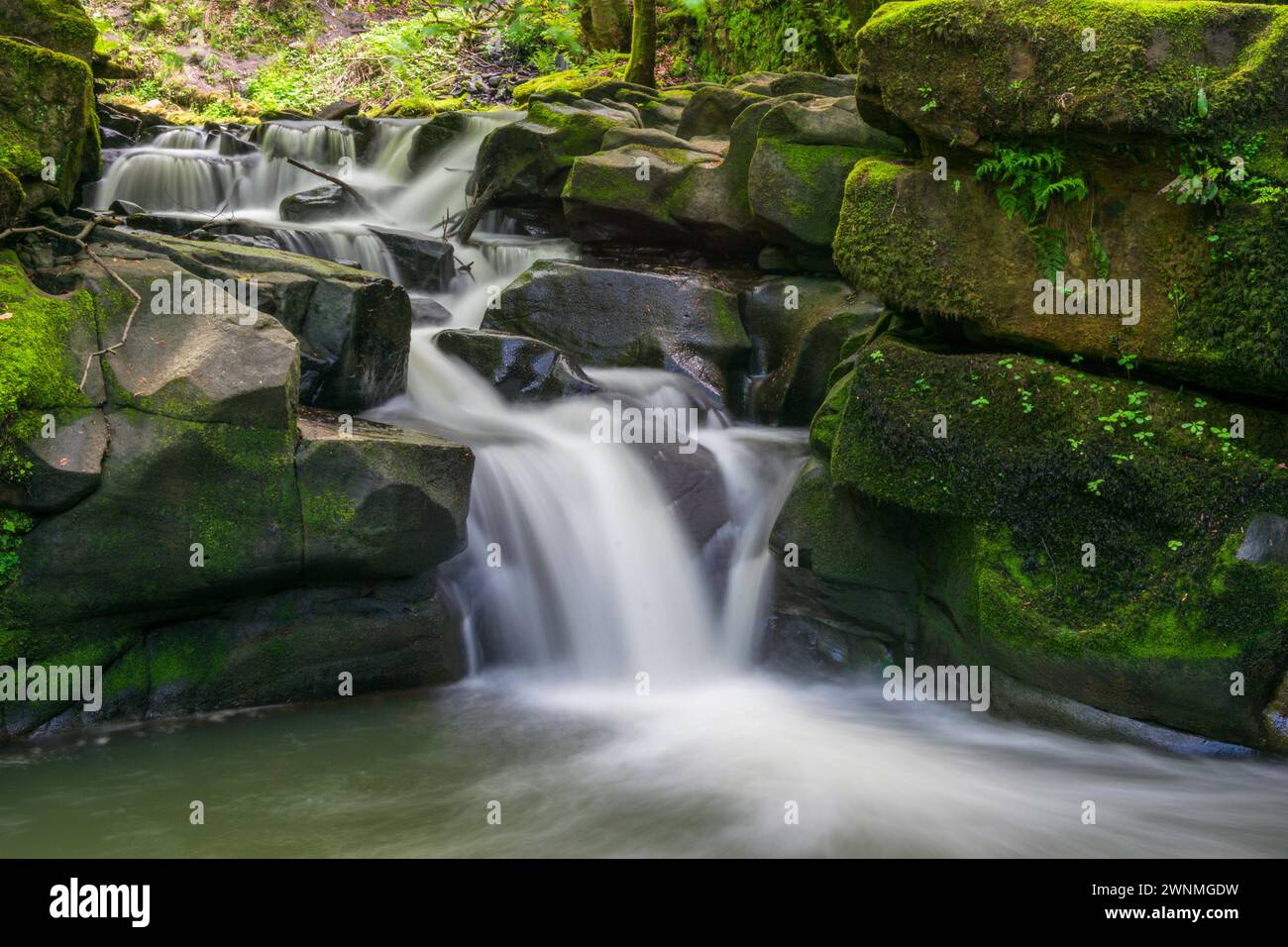 Healey Dell Nature Reserve Stock Photo - Alamy