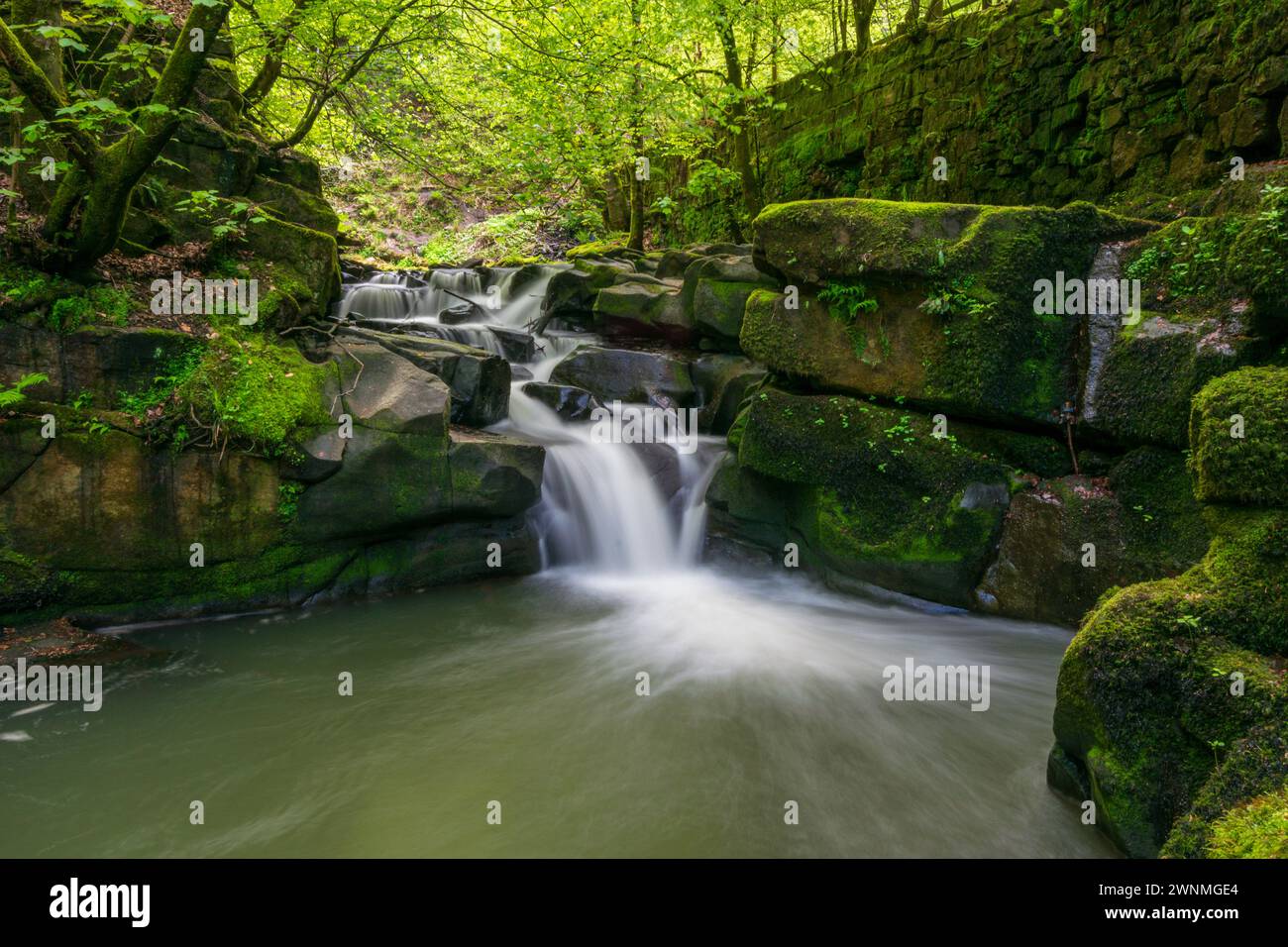 Healey Dell Nature Reserve Stock Photo - Alamy
