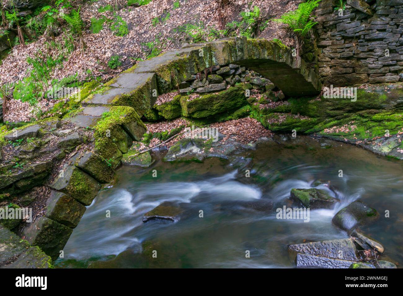 Healey Dell Nature Reserve Stock Photo - Alamy