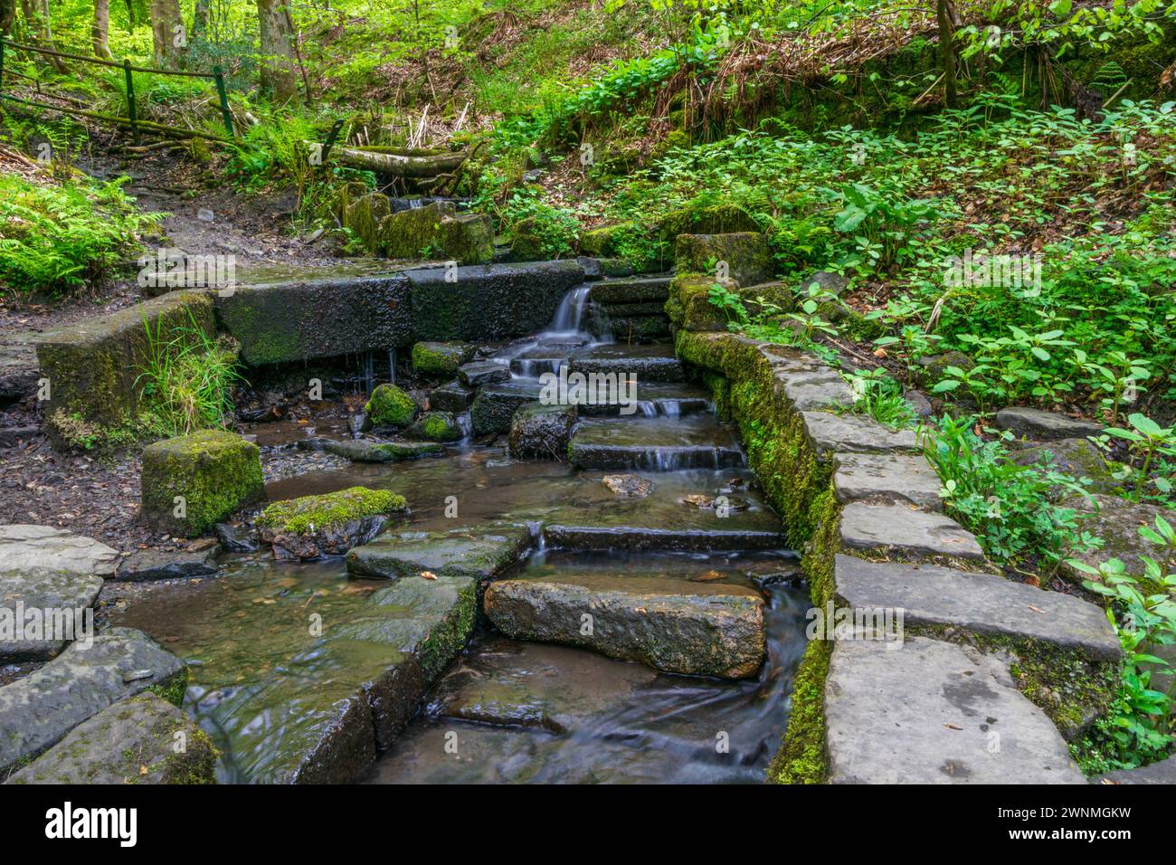 Healey Dell Nature Reserve Stock Photo - Alamy