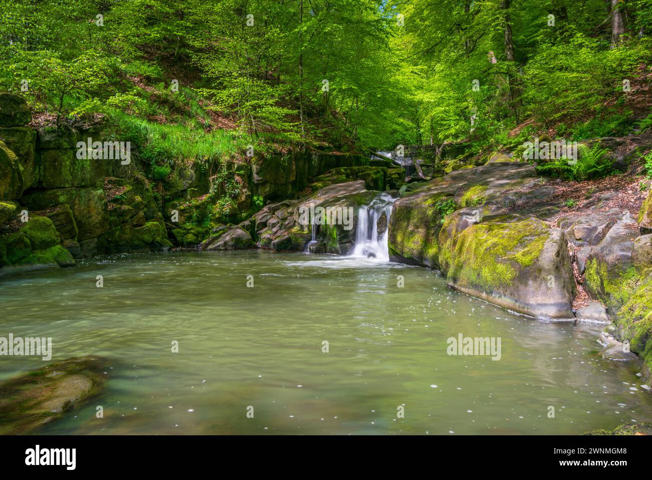 Healey Dell Nature Reserve Stock Photo - Alamy