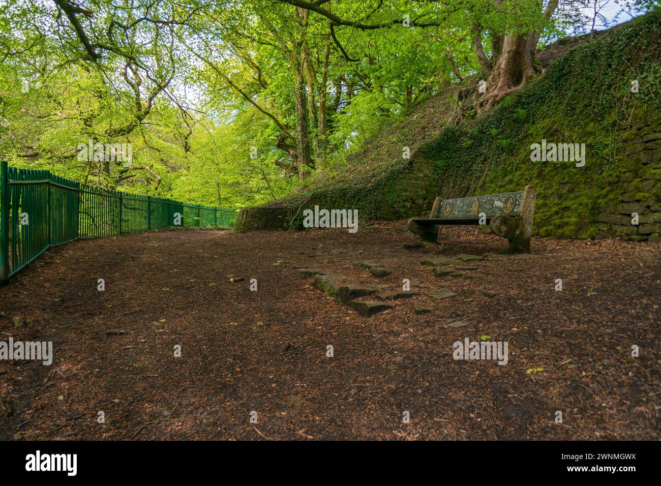 Healey Dell Nature Reserve Stock Photo - Alamy