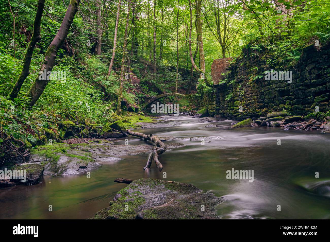 Healey Dell Nature Reserve Stock Photo - Alamy