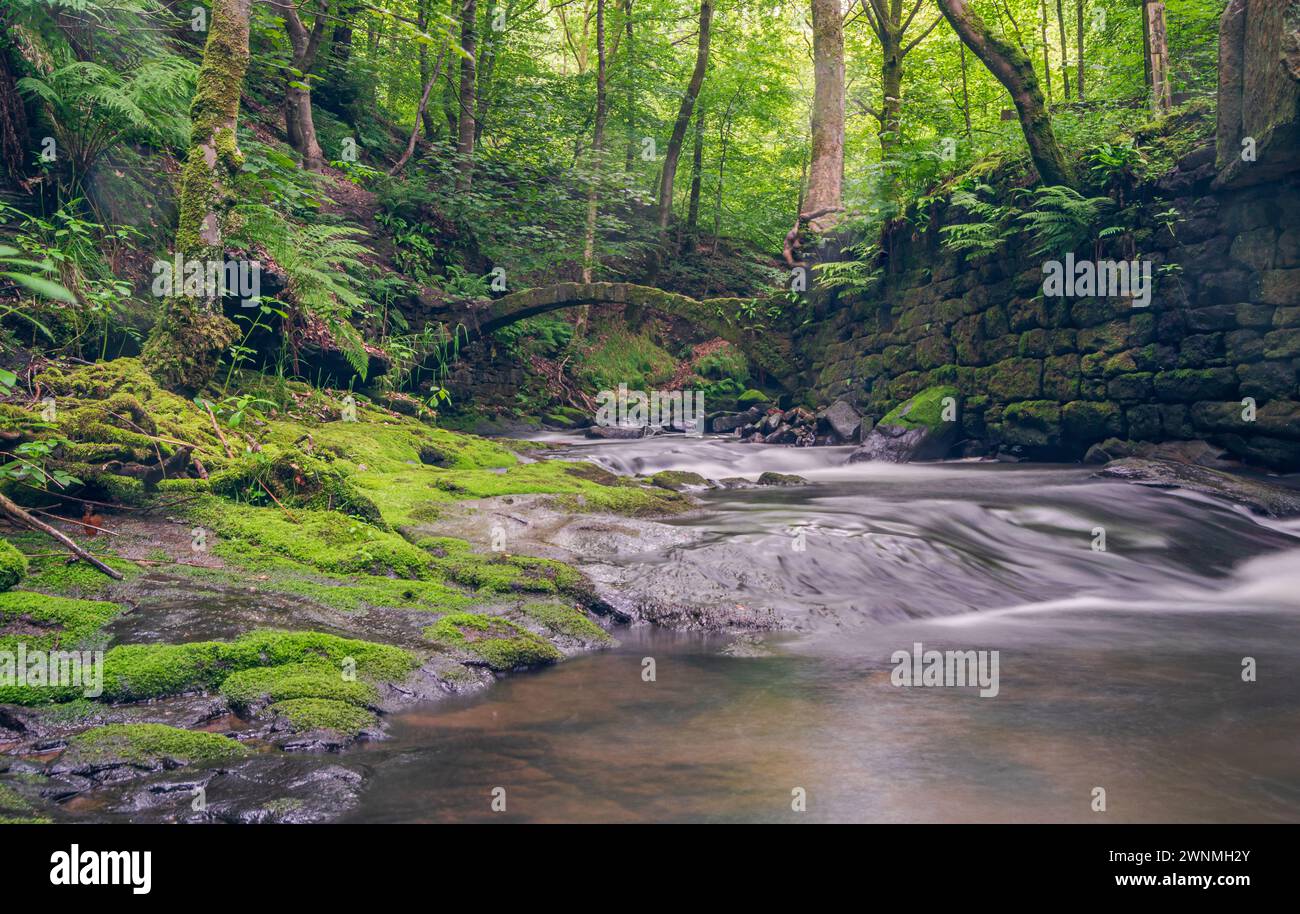 Healey Dell Nature Reserve Stock Photo - Alamy