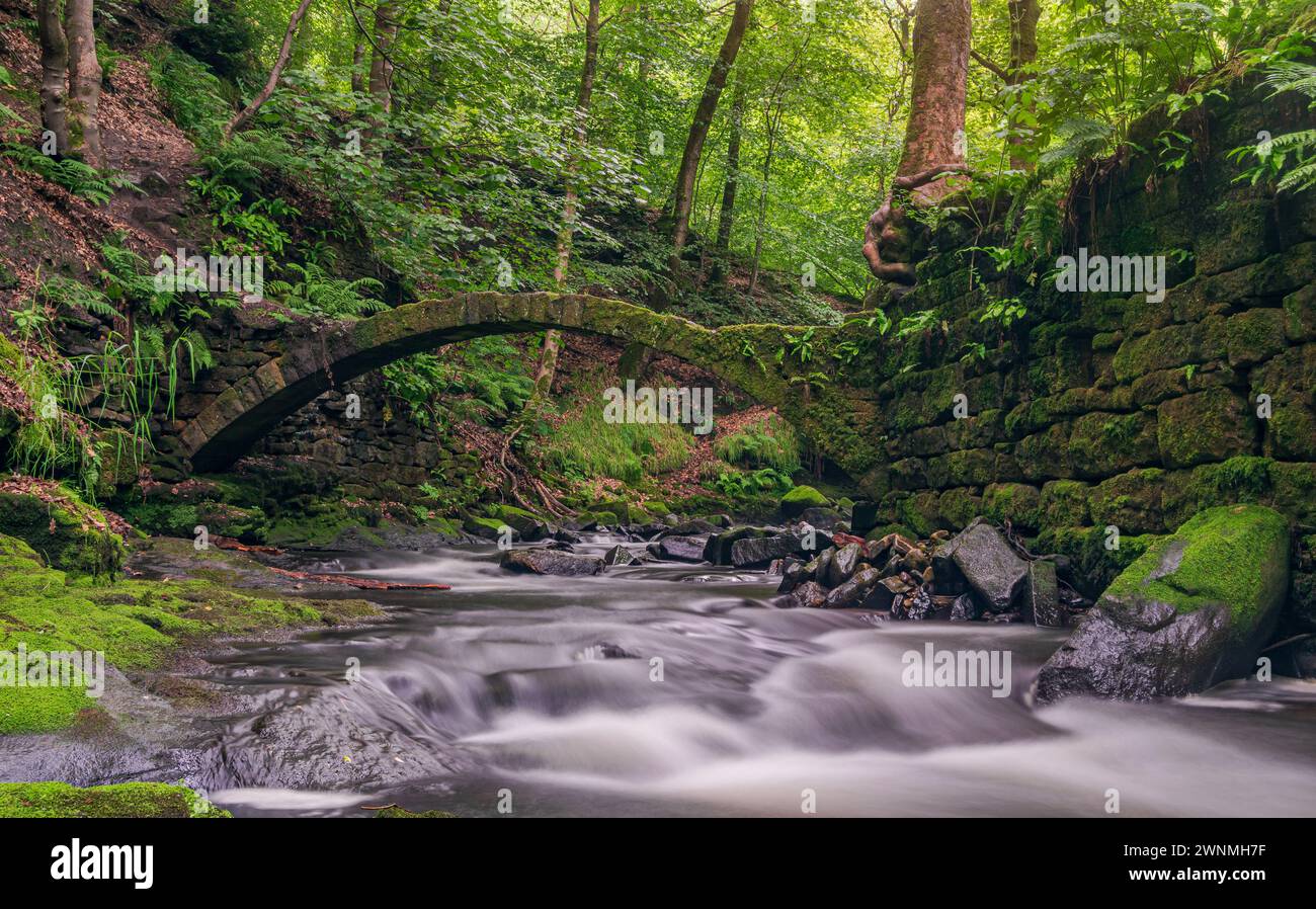 Long wood nature reserve hi-res stock photography and images - Alamy