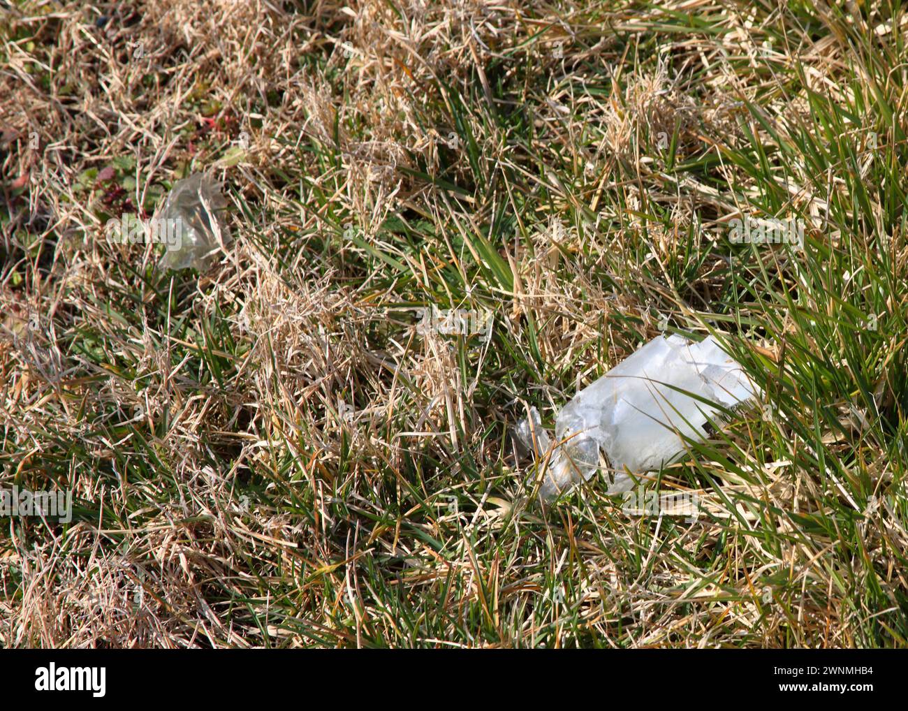 Litter in the grass along a roadside Stock Photo - Alamy