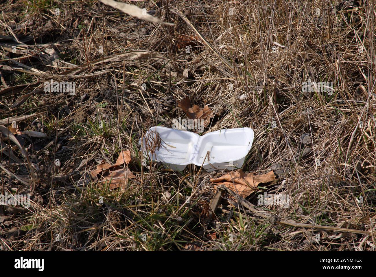 Litter in the grass along a roadside Stock Photo - Alamy