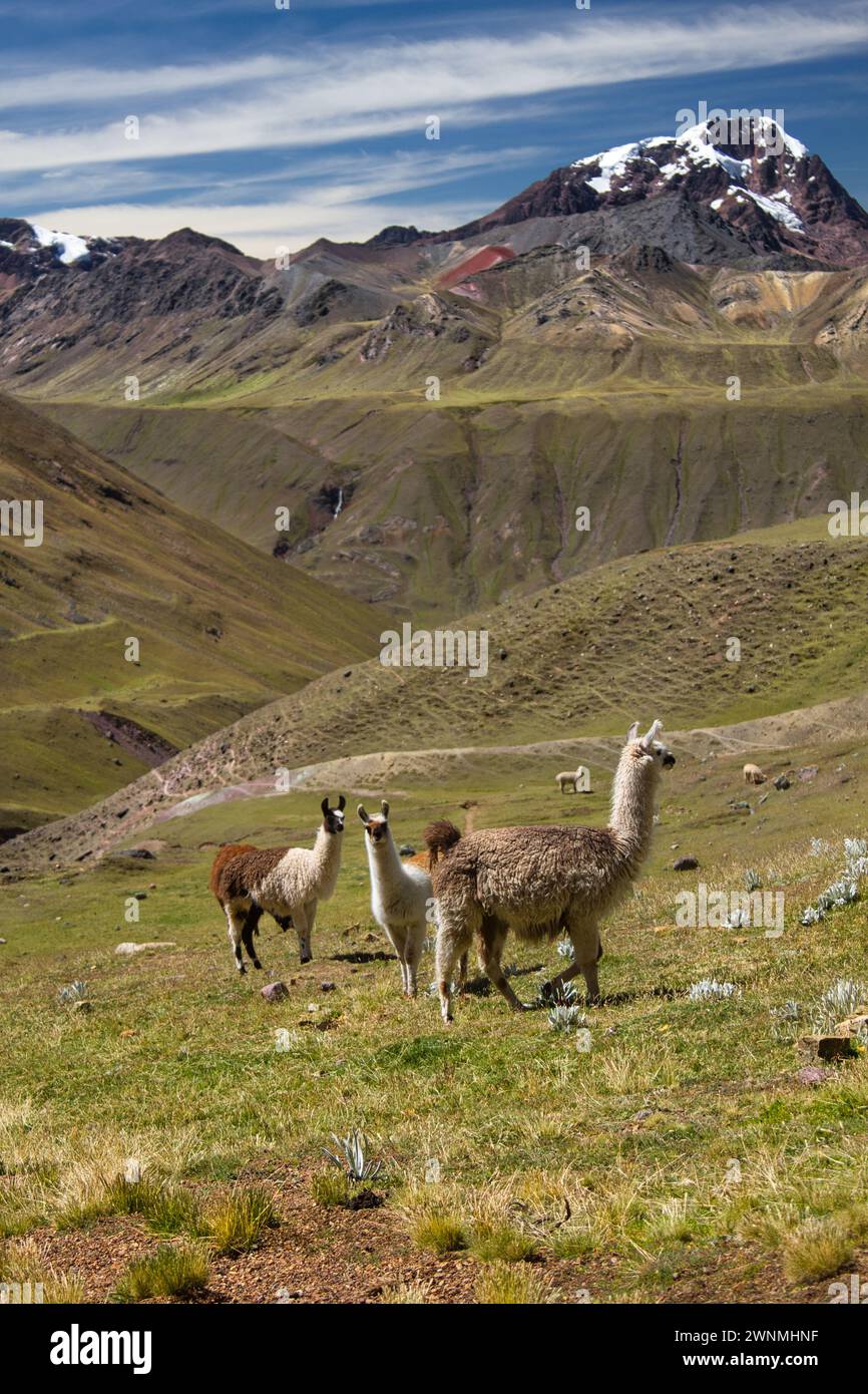 The Ausangate trek is a stunning hike through Peru's wildest and rarely ...