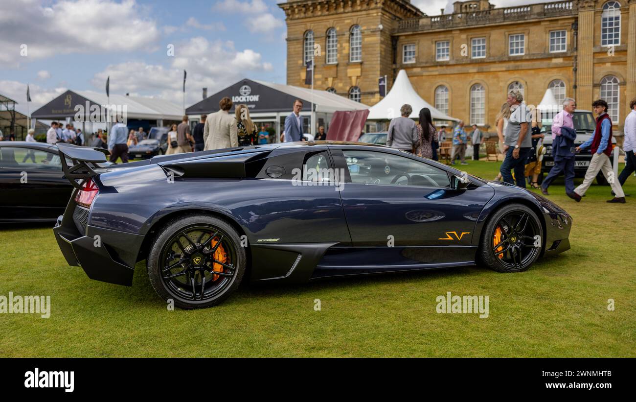 V12 shy hi-res stock photography and images - Alamy