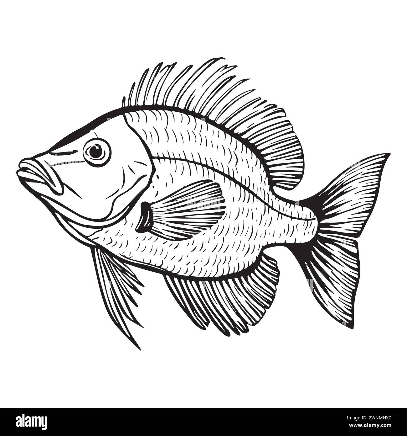 Hand Drawn Outline Sketch Fishes. Ink Drawing Sea Creature Mascot Stock ...