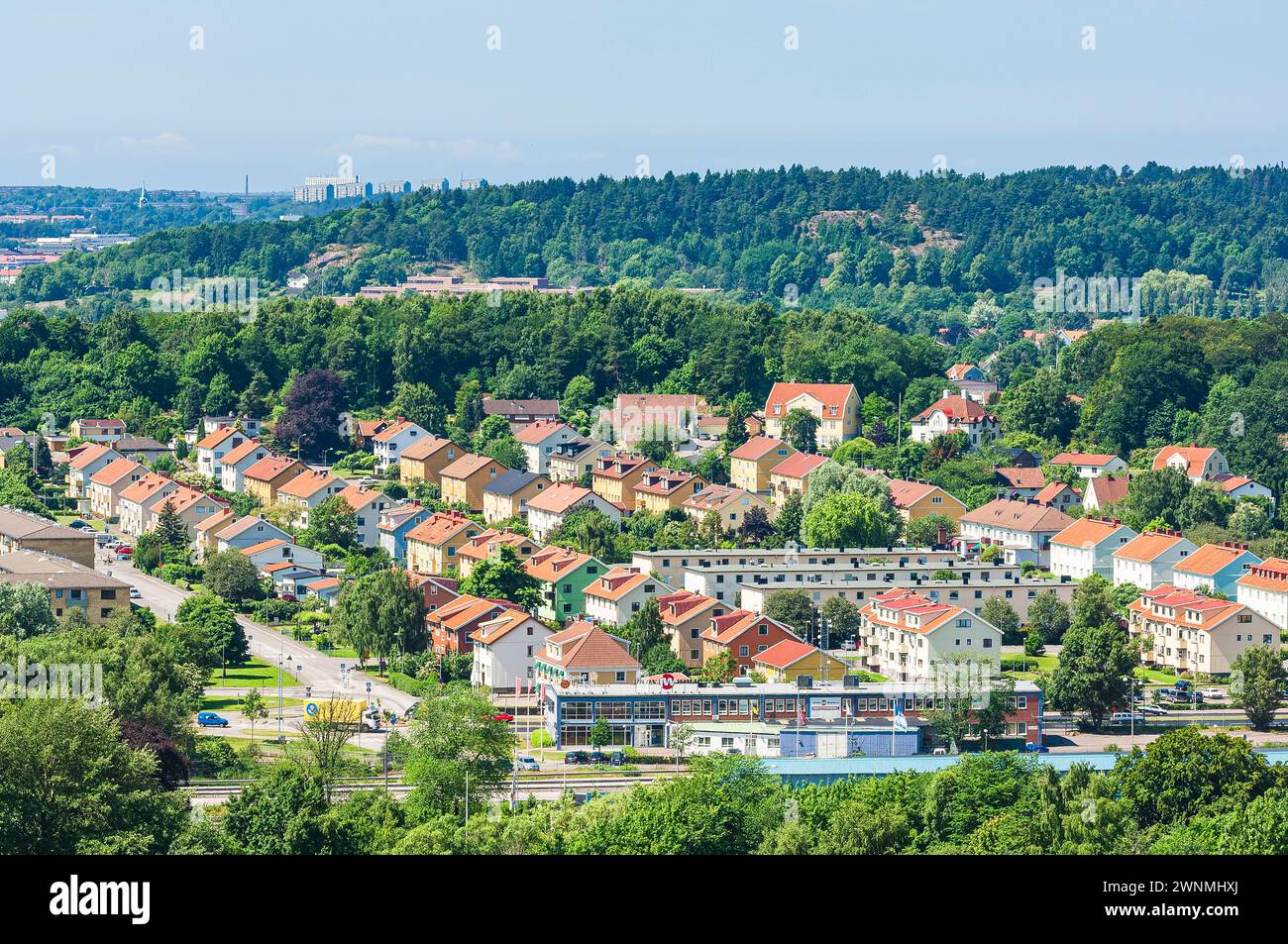 Dense foliage create hi-res stock photography and images - Alamy