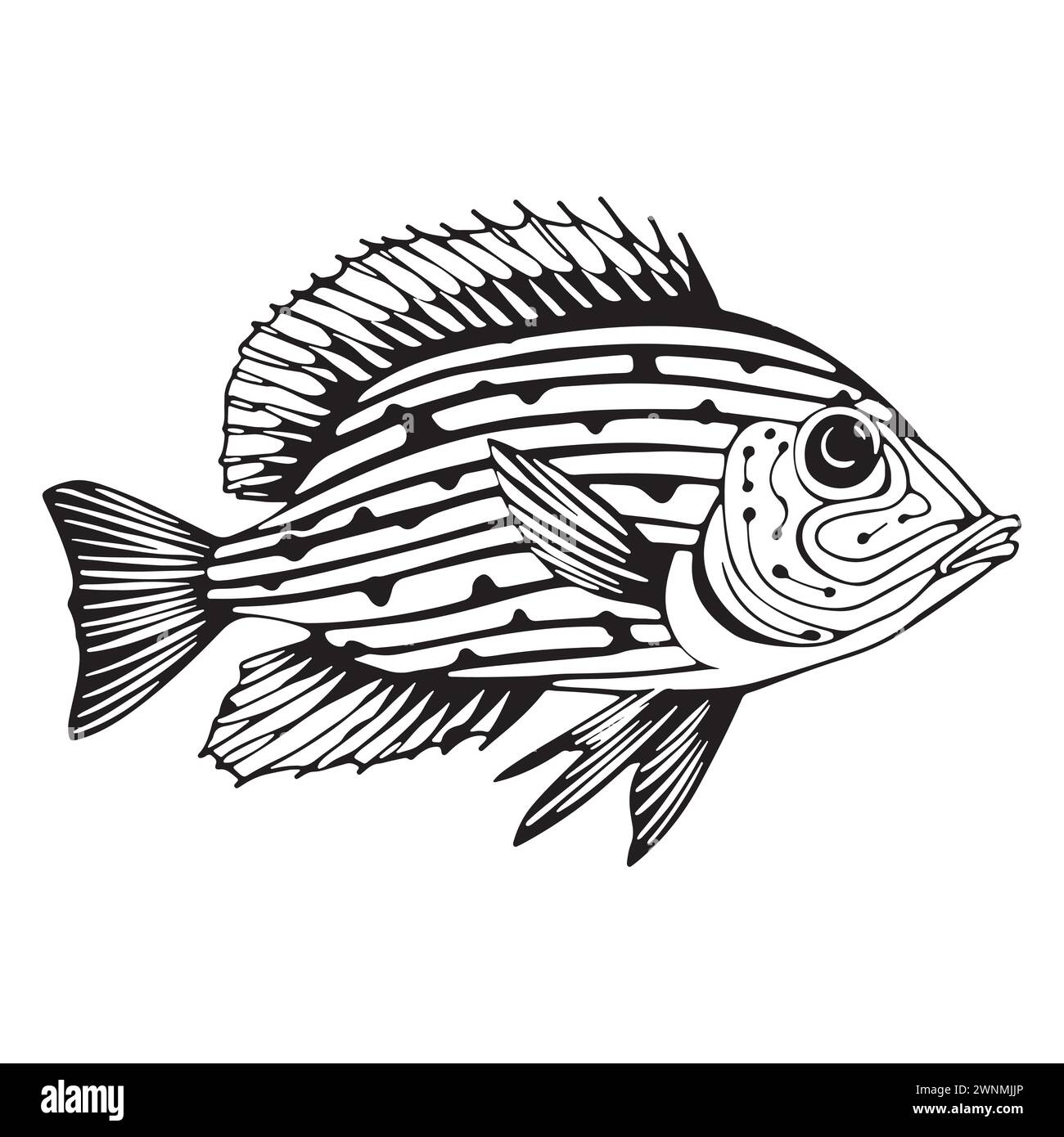 Hand Drawn Outline Sketch Fishes. Ink Drawing Sea Creature Mascot Stock ...