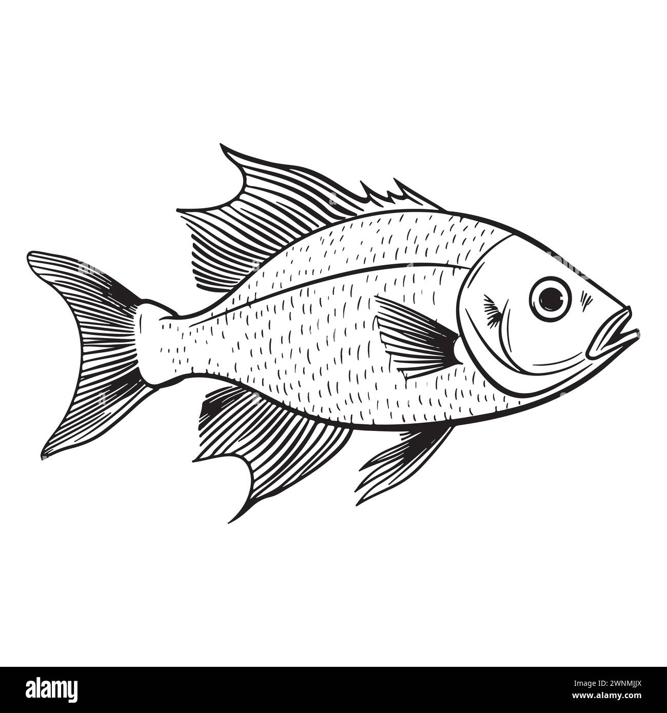 Hand Drawn Outline Sketch Fishes. Ink Drawing Sea Creature Mascot Stock ...