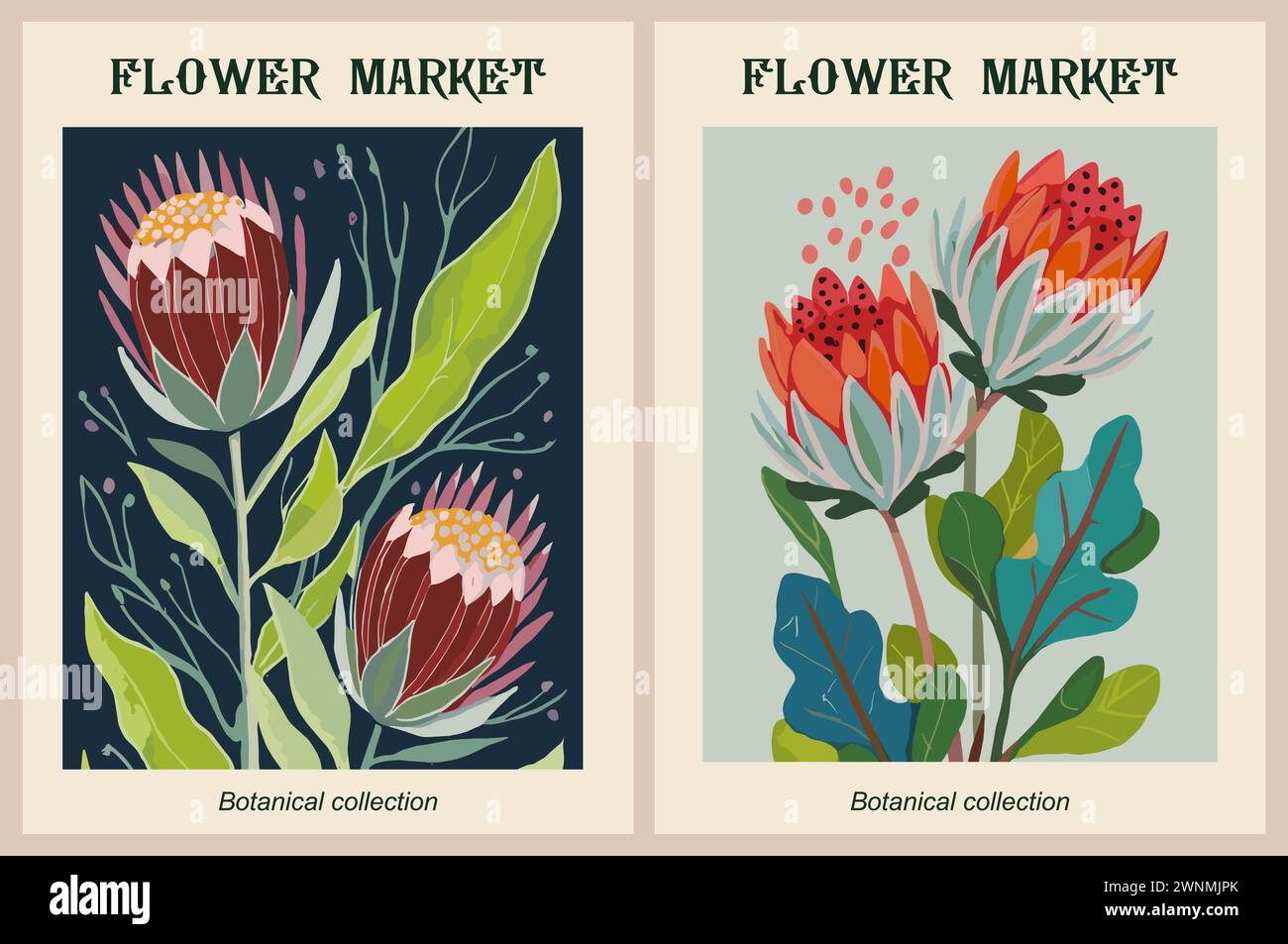 Set of abstract Flower Market Protea posters Stock Vector Image & Art ...