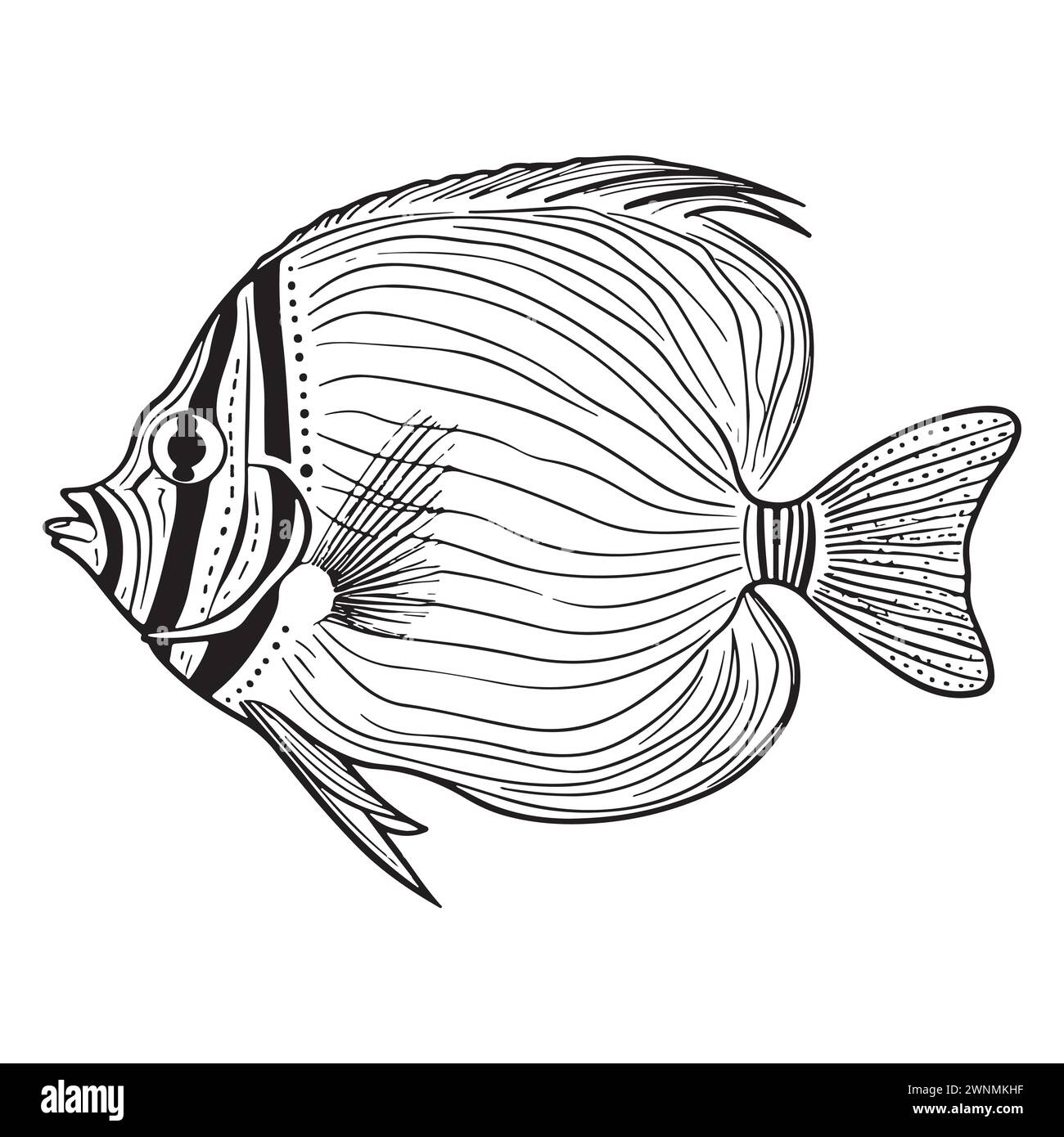 Hand Drawn Outline Sketch Fishes. Ink Drawing Sea Creature Mascot Stock ...