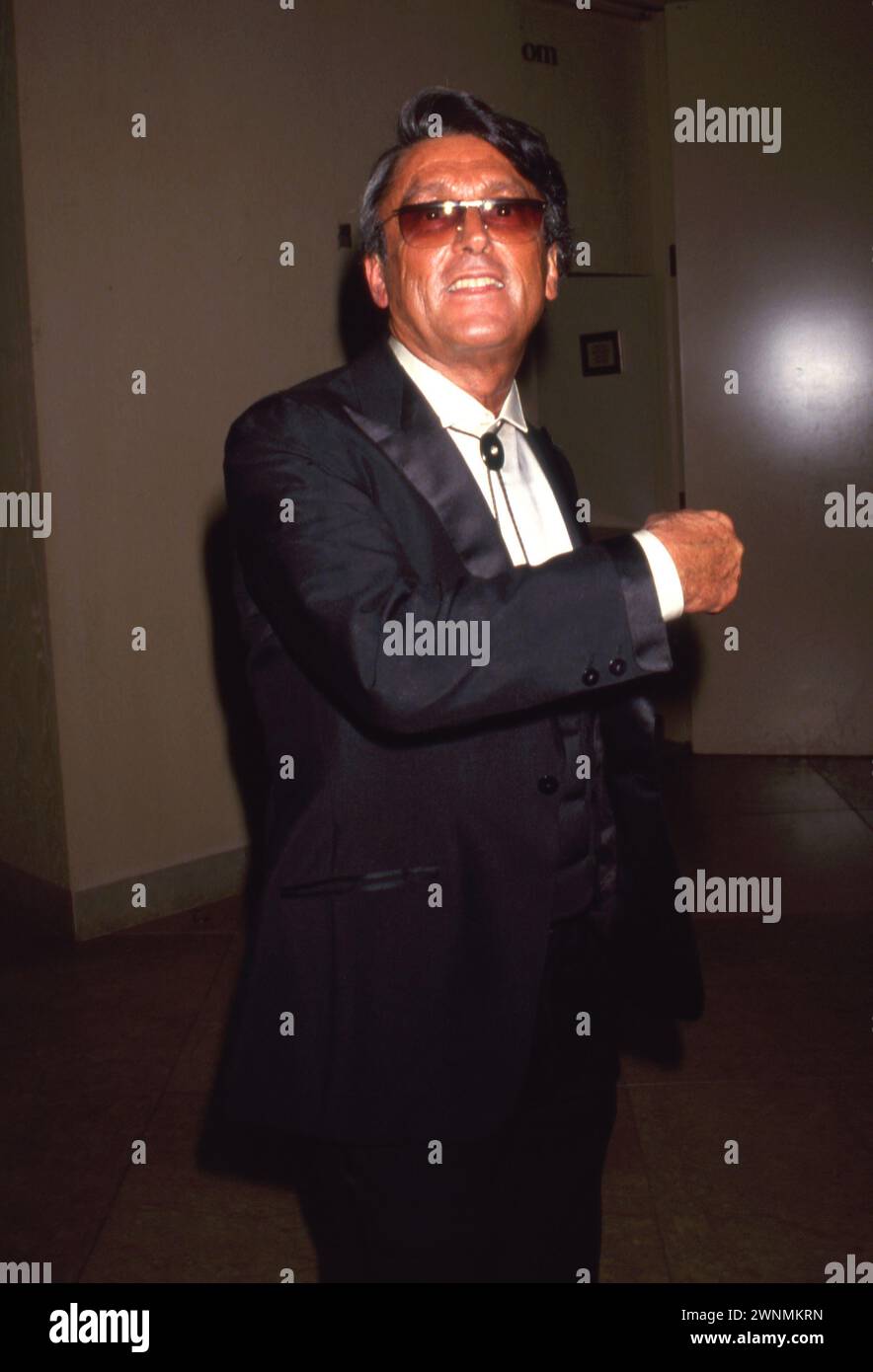 Robert Evans Circa 1990's Credit: Ralph Dominguez/MediaPunch Stock ...