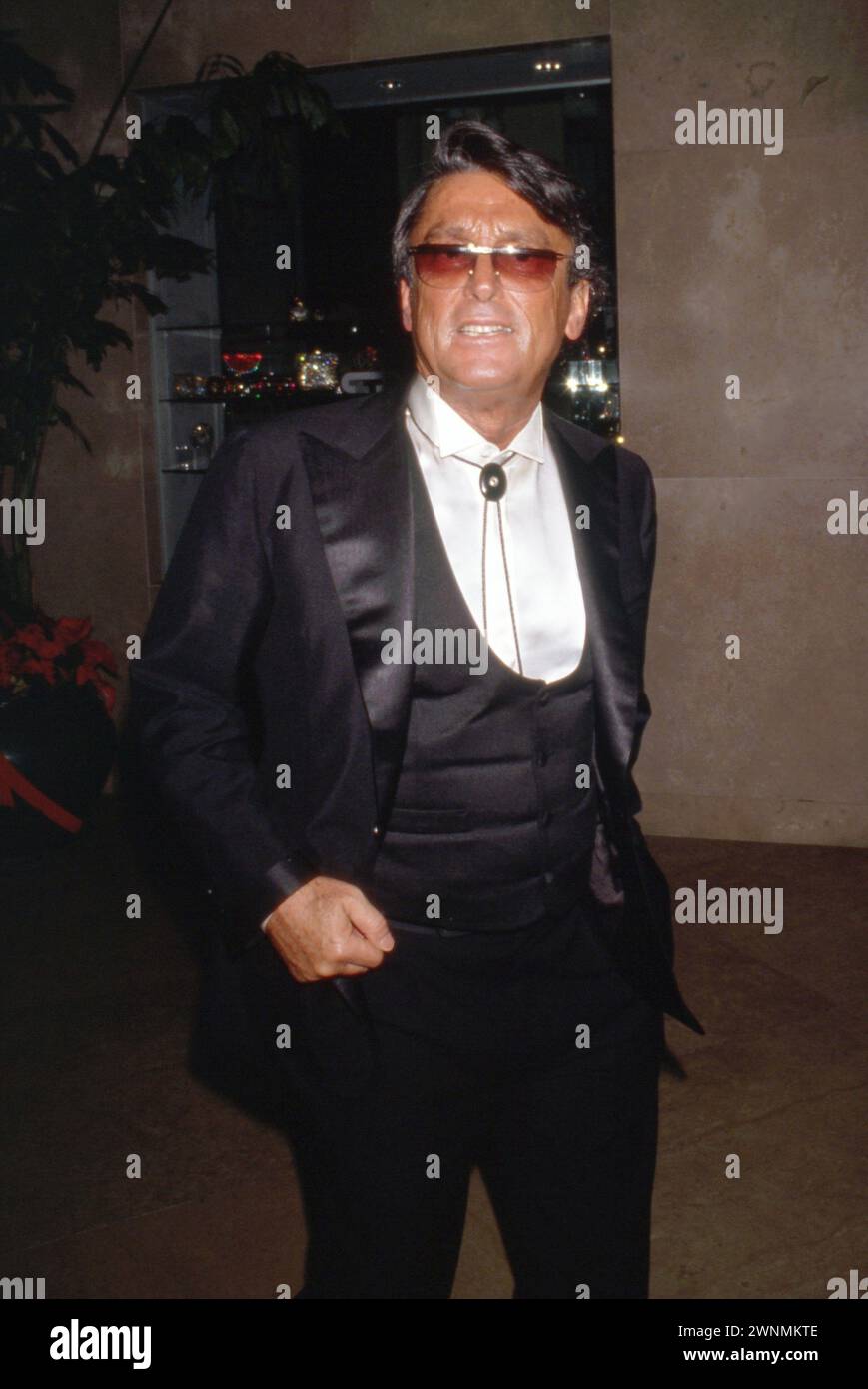 Robert Evans Circa 1990's Credit: Ralph Dominguez/MediaPunch Stock ...
