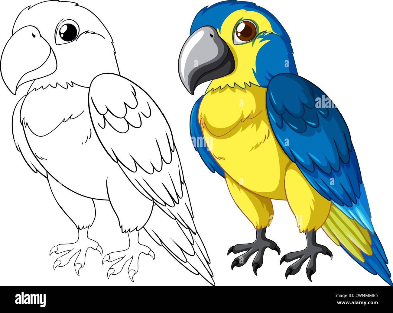 Vector drawing of a parrot, outlined and colored Stock Vector Image ...