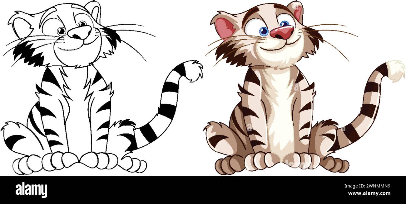Two stages of a tiger drawing, from sketch to color Stock Vector Image ...