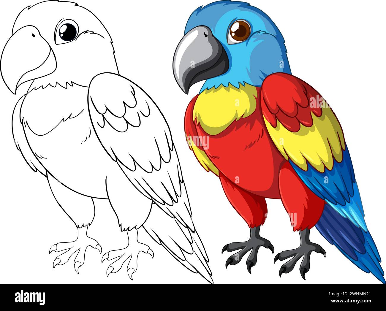 Vector graphic of a parrot, outlined and colored Stock Vector Image ...
